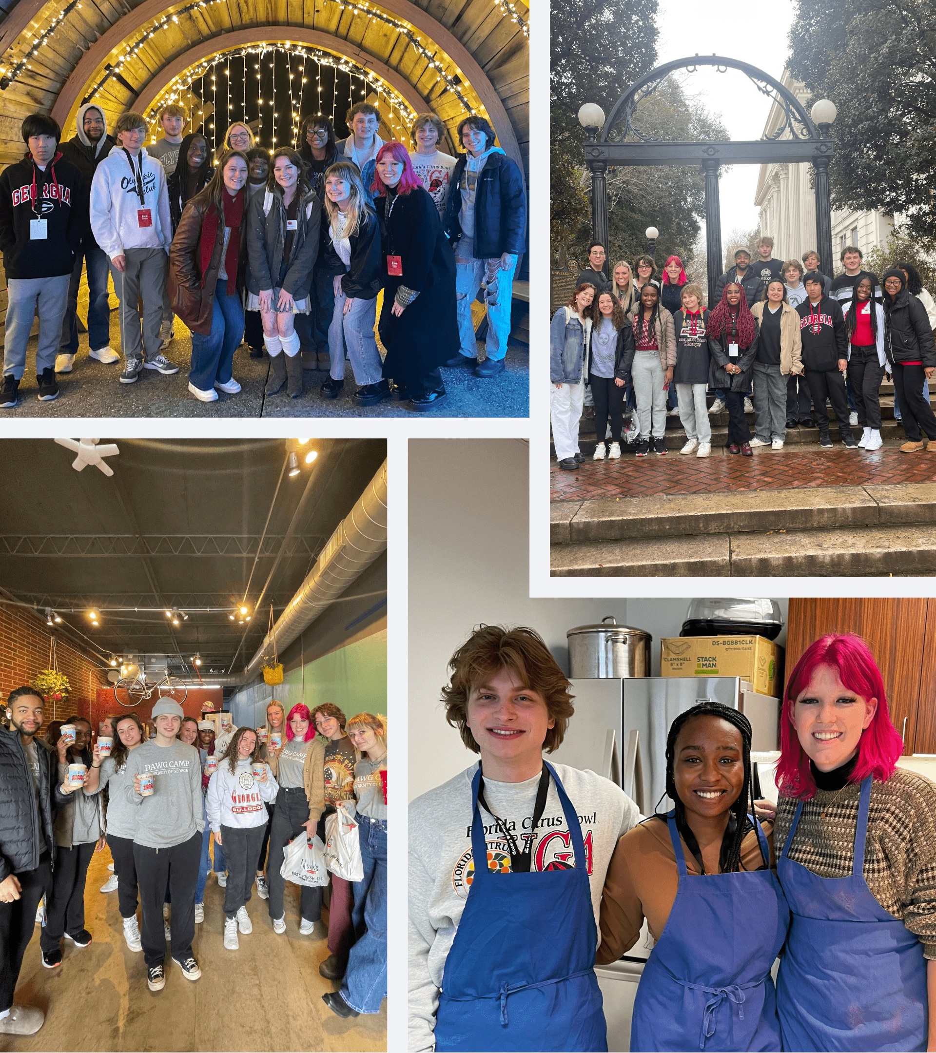 Dawg Camp - University Transitions